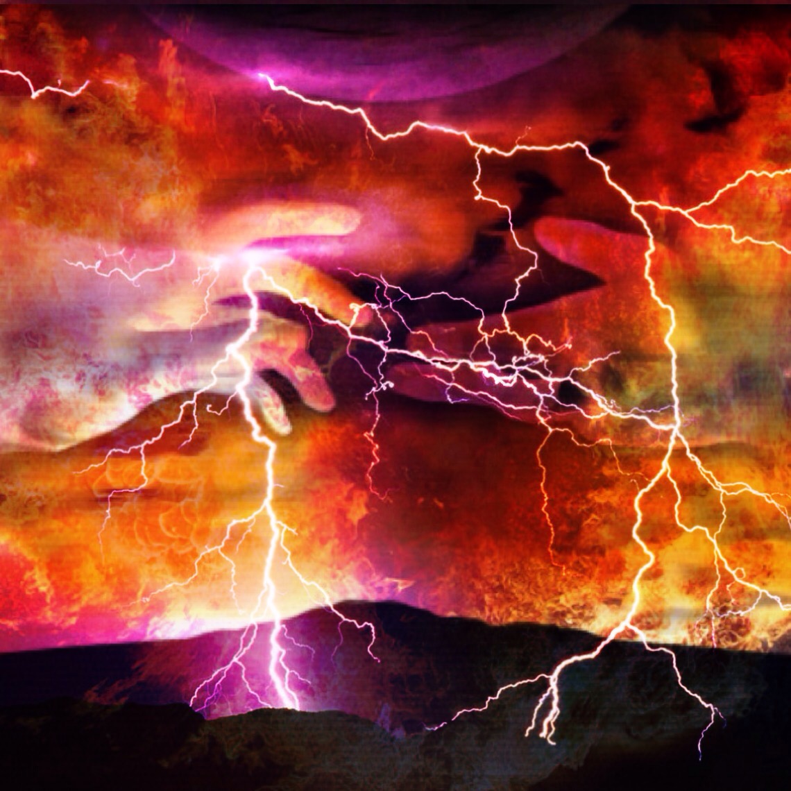 L.A.B.O. | tHE tERRY tREE