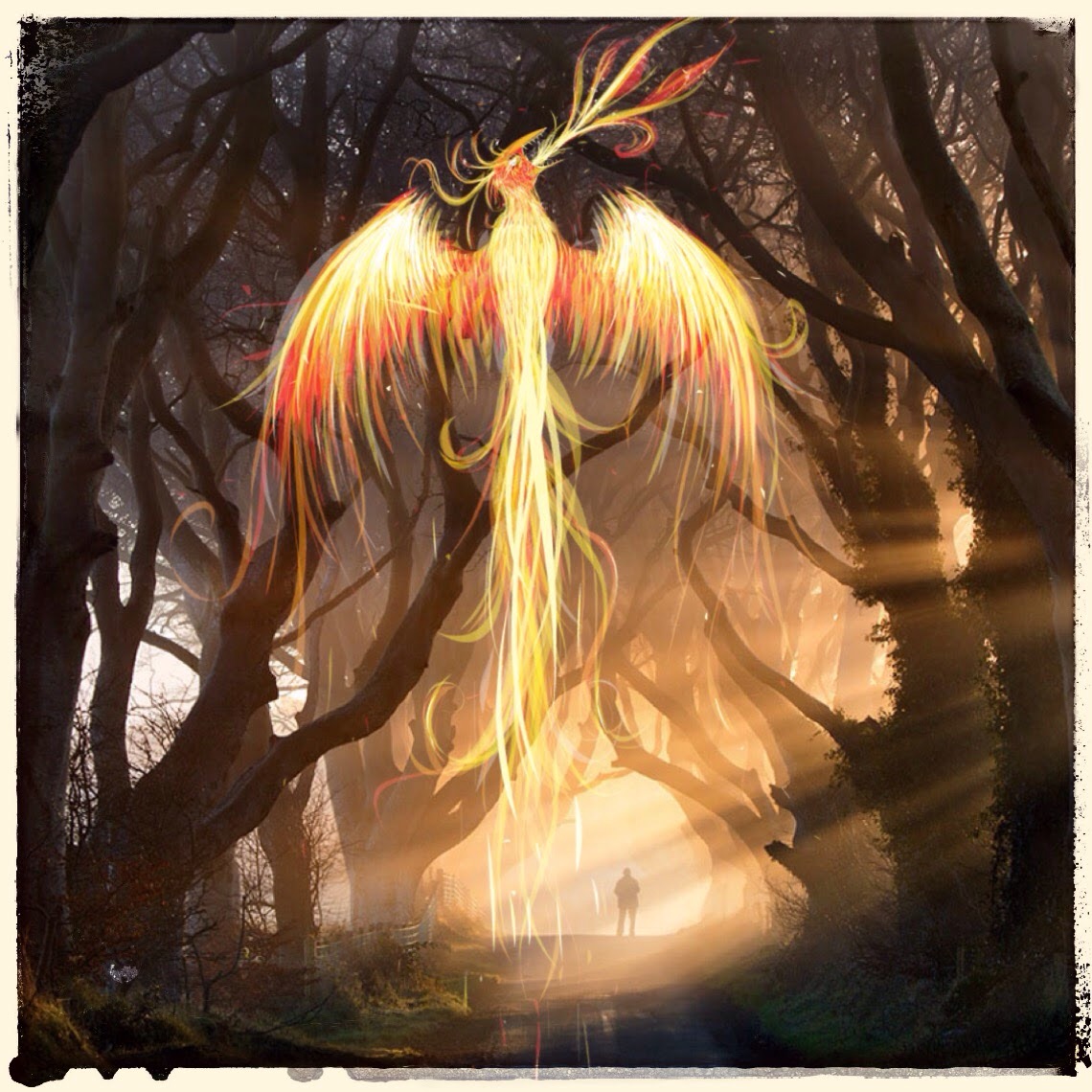 Standing Still | tHE tERRY tREE