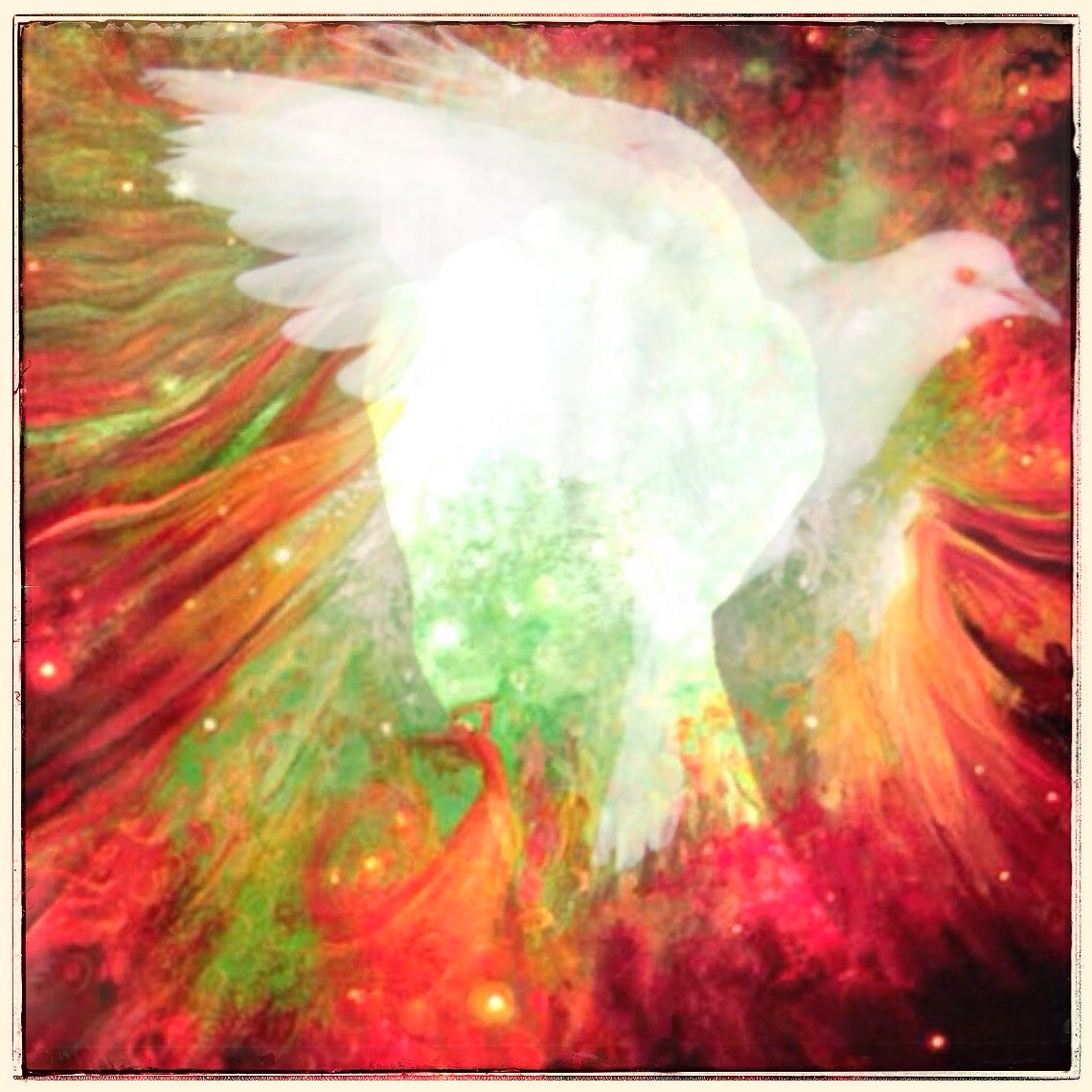 Knock Knock | tHE tERRY tREE